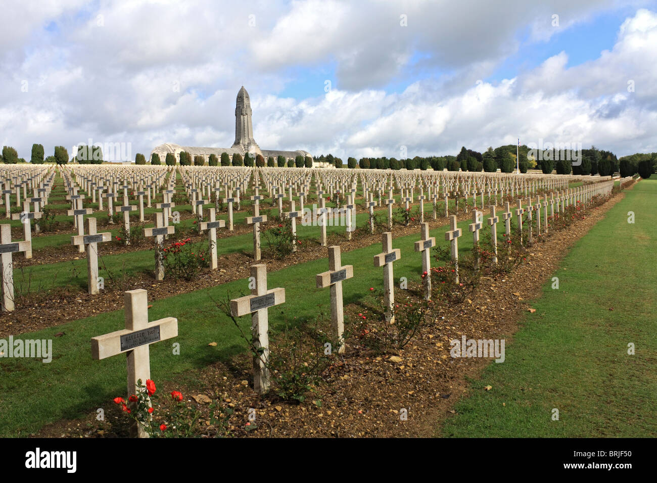 Battle of verdun bones hi-res stock photography and images - Alamy