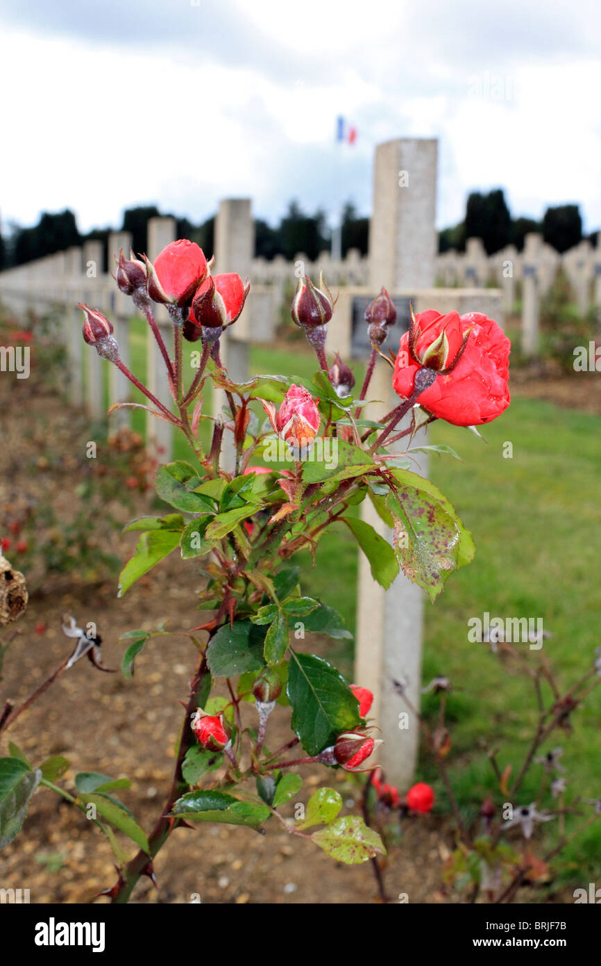 Battle of verdun bones hi-res stock photography and images - Alamy
