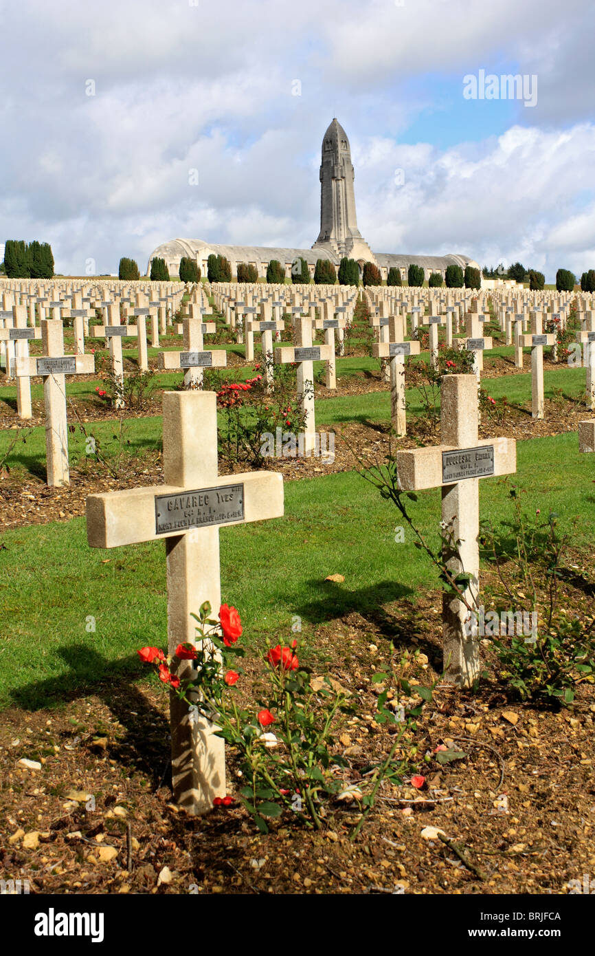 Battle of verdun bones hi-res stock photography and images - Alamy