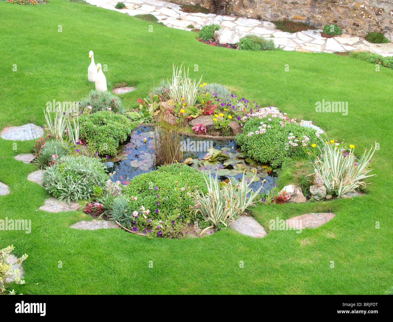 Lawn pond pond hi-res stock photography and images - Alamy