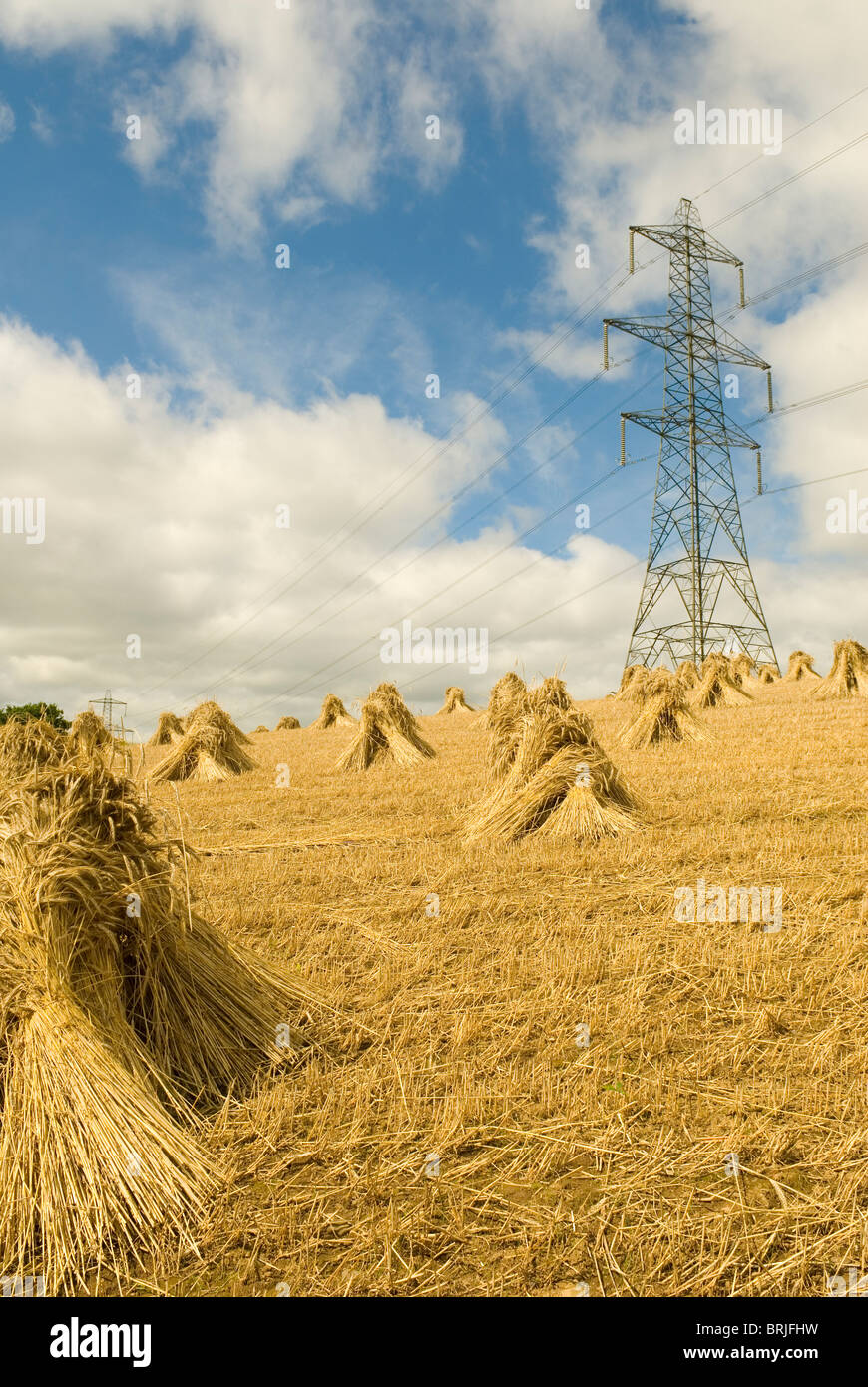Sheaf of hay hi-res stock photography and images - Alamy