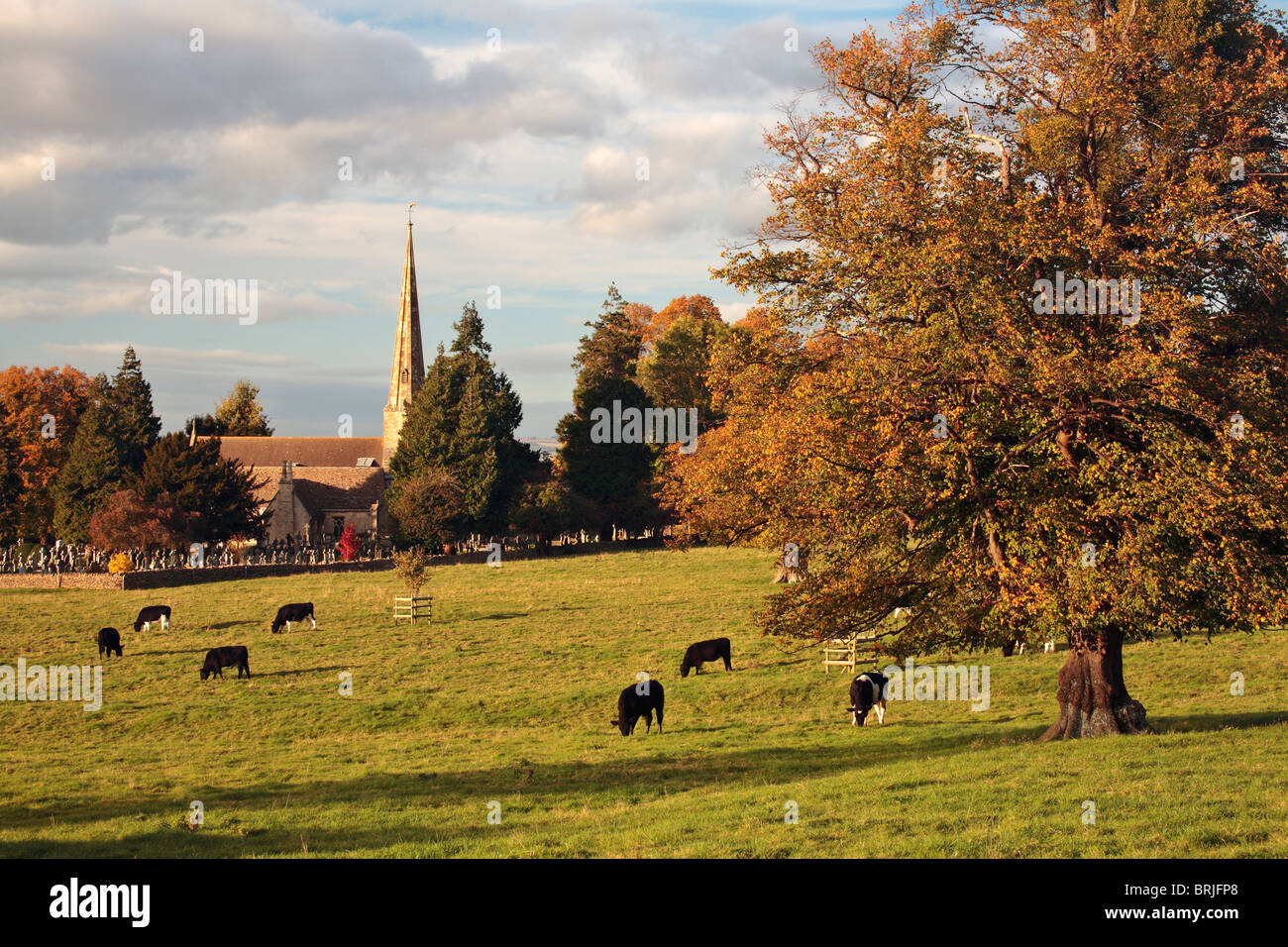Leckhampton, cheltenham hi-res stock photography and images - Alamy