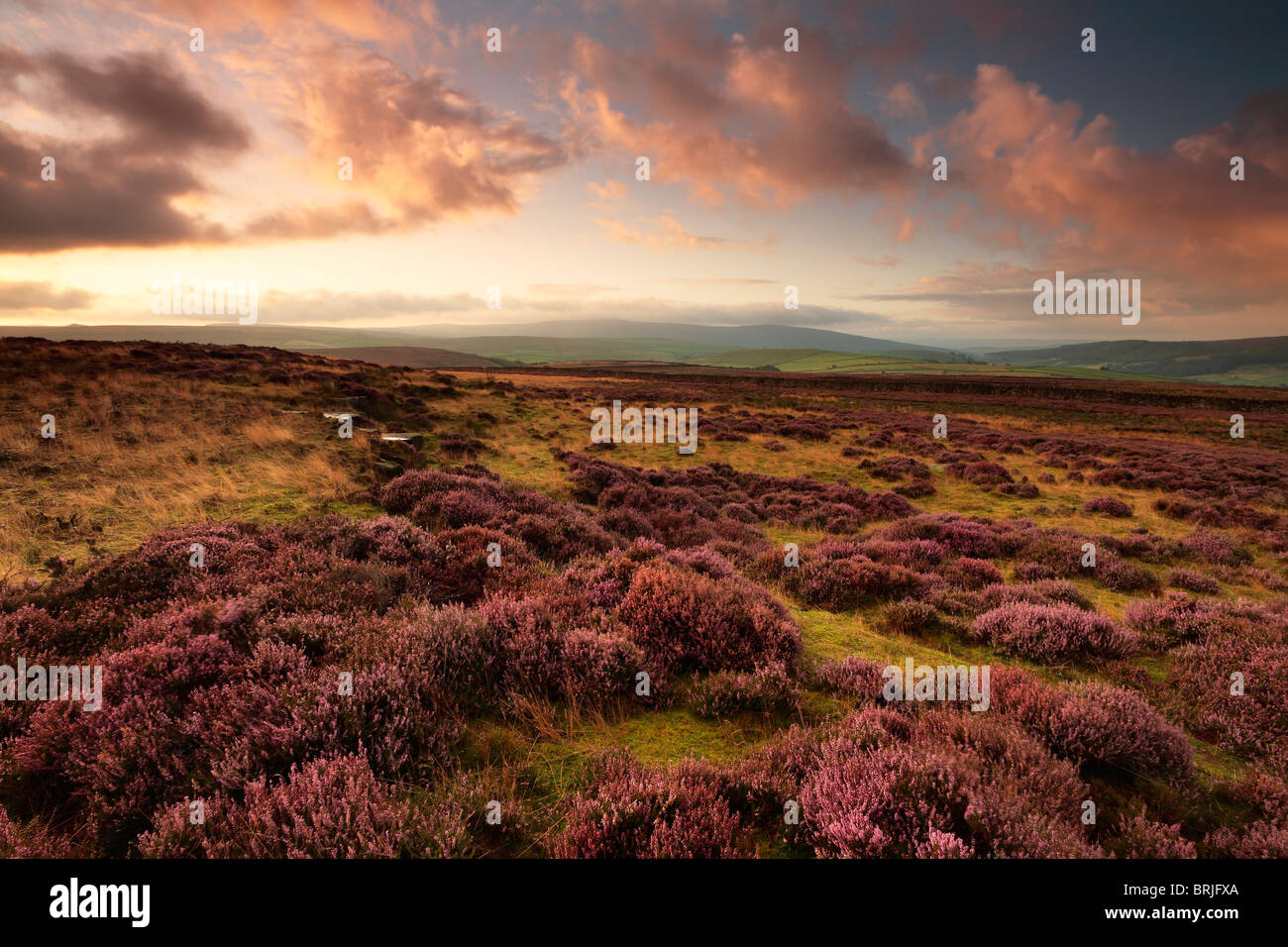 Moorland England Stock Photos & Moorland England Stock Images - Alamy