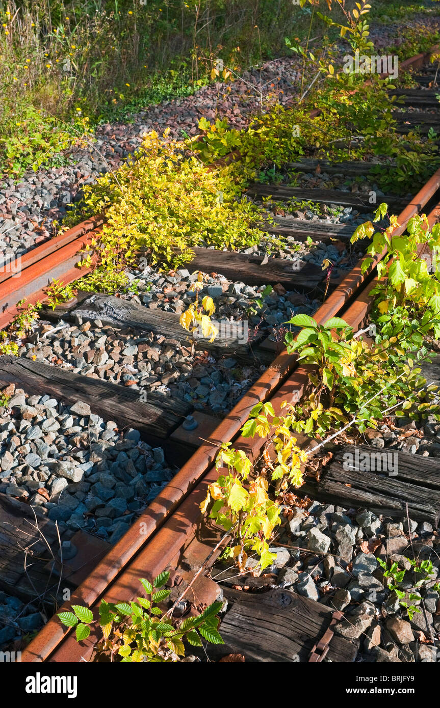 The end of the line / disused railway track - France Stock Photo - Alamy