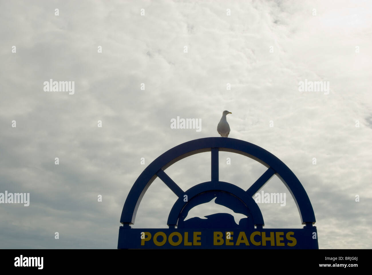 Poole beaches entrance sign with seagull Stock Photo - Alamy
