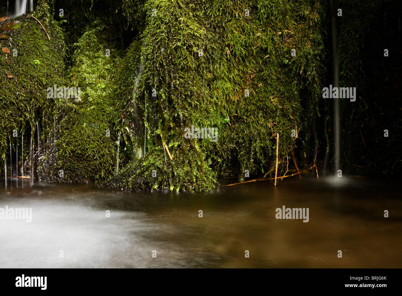 Green moss waterfall hi-res stock photography and images - Alamy