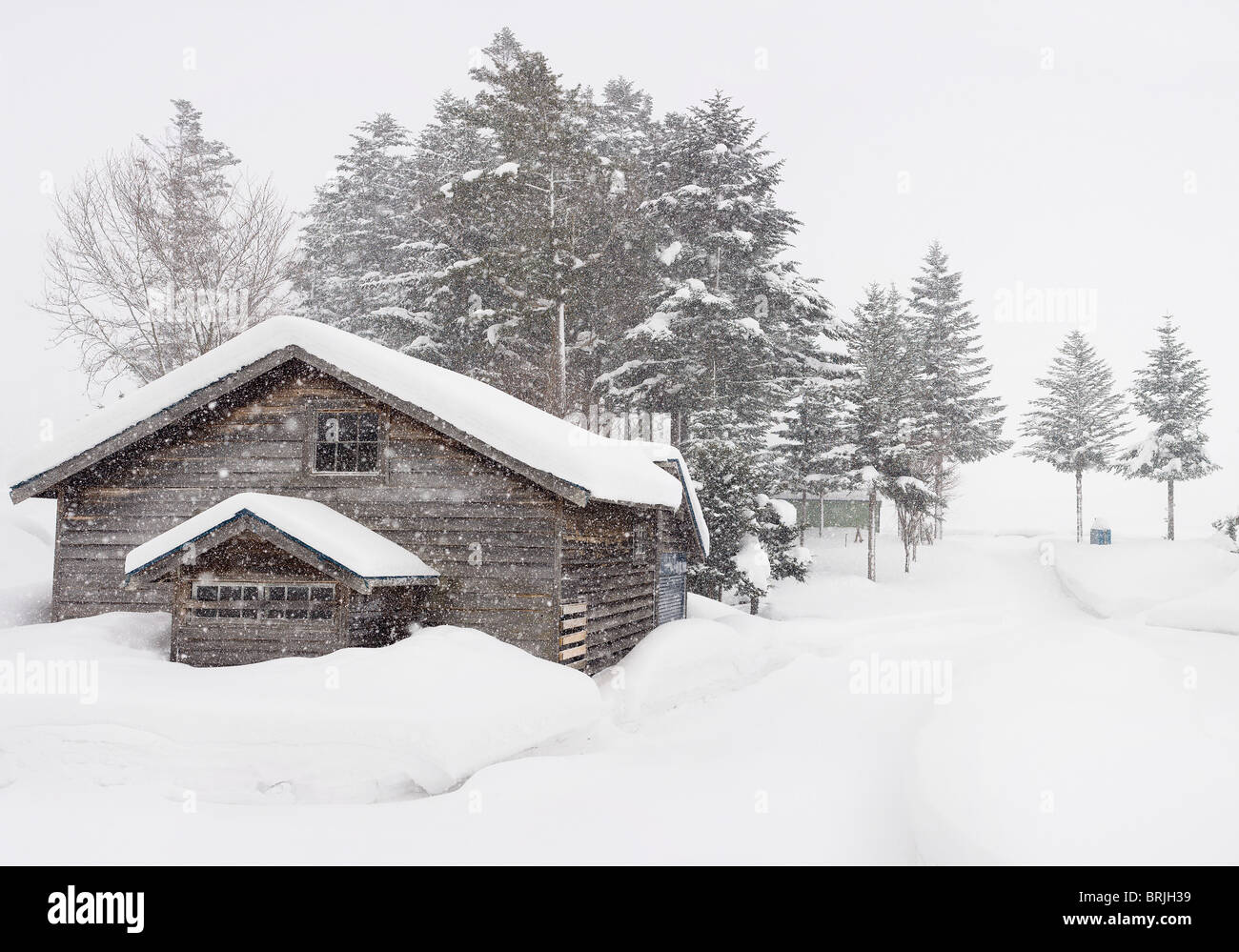 Wood cabin covered in snow and still snowing, Niseko, Hokkaido, Japan ...