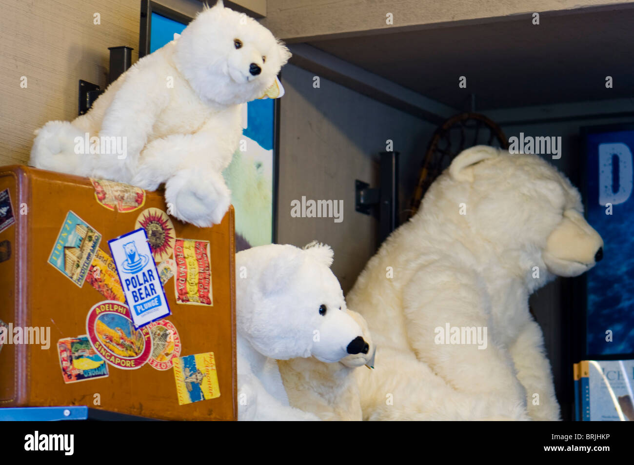Store with white teddy bears Stock Photo - Alamy