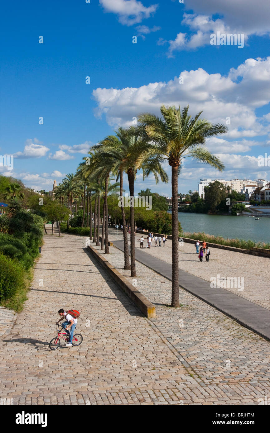 the river front in sevilla, spain Stock Photo - Alamy