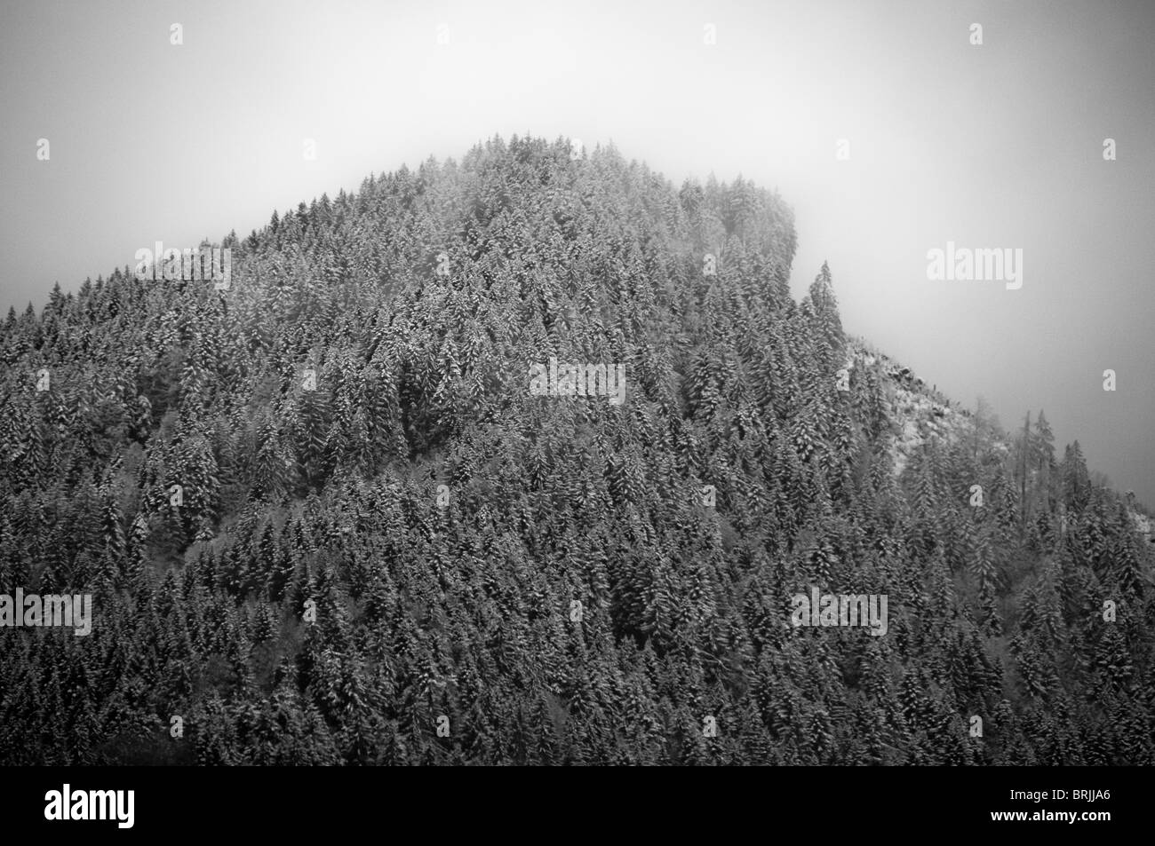 Snowy Hillside, Einsiedeln, Switzerland Stock Photo - Alamy