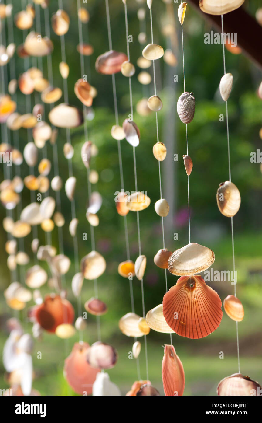 Hanging Shells High Resolution Stock Photography and Images - Alamy
