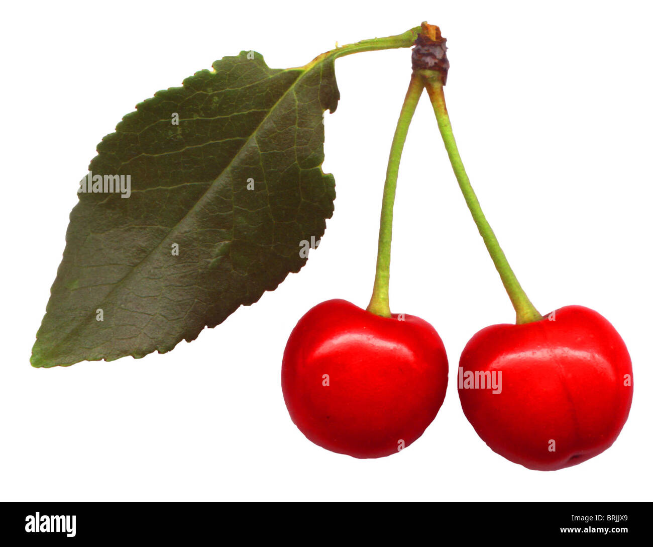 Red Ripe Cherries Stock Photo - Alamy