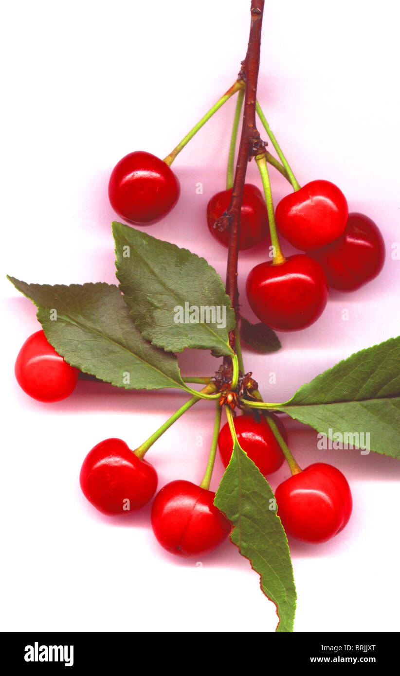 Red Ripe Cherries Stock Photo - Alamy