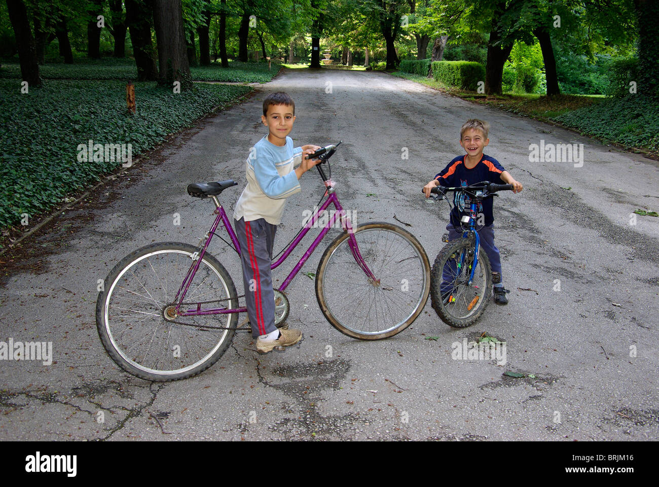 Children ride bicycles Stock Photo - Alamy