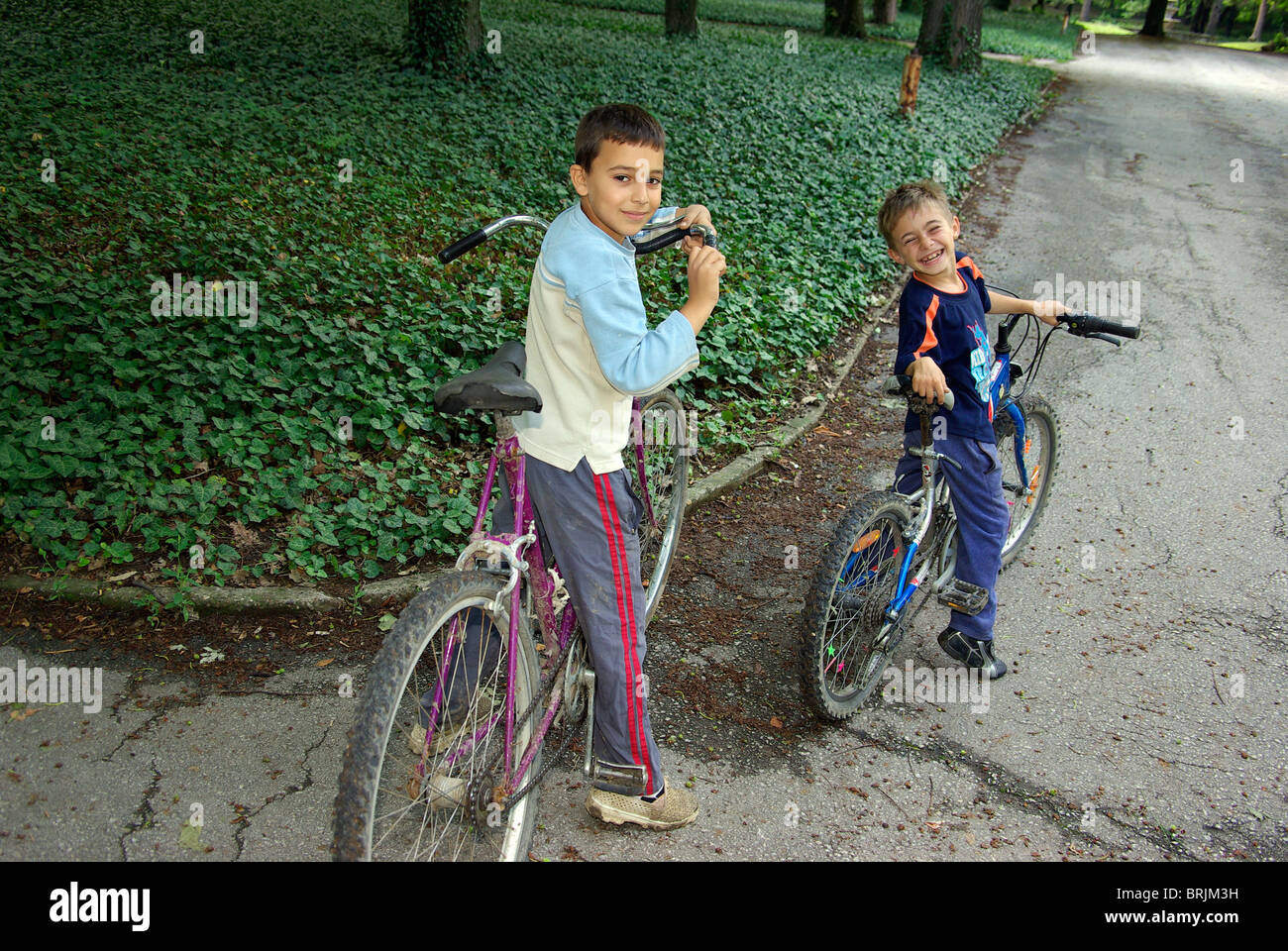 Children ride bicycles Stock Photo - Alamy