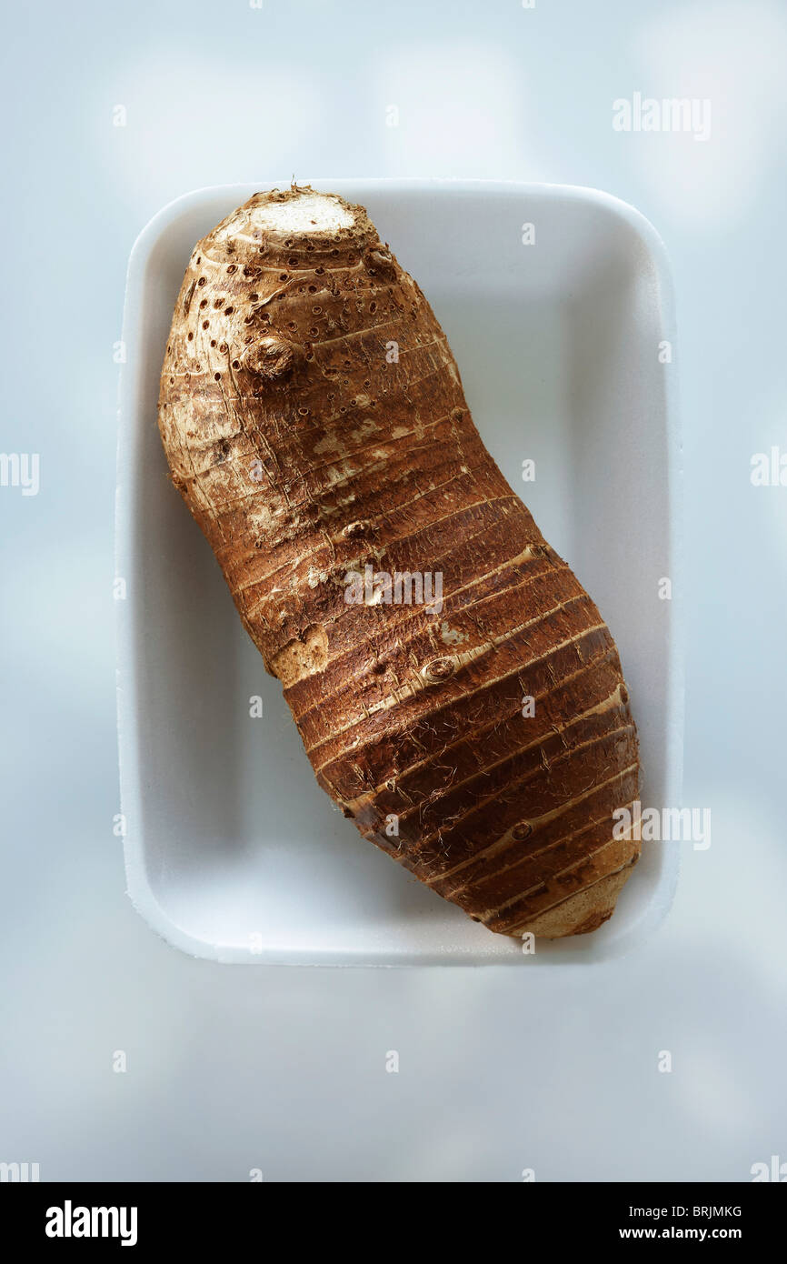 Raw Whole Taro Root in a Styrofoam Container Stock Photo - Alamy