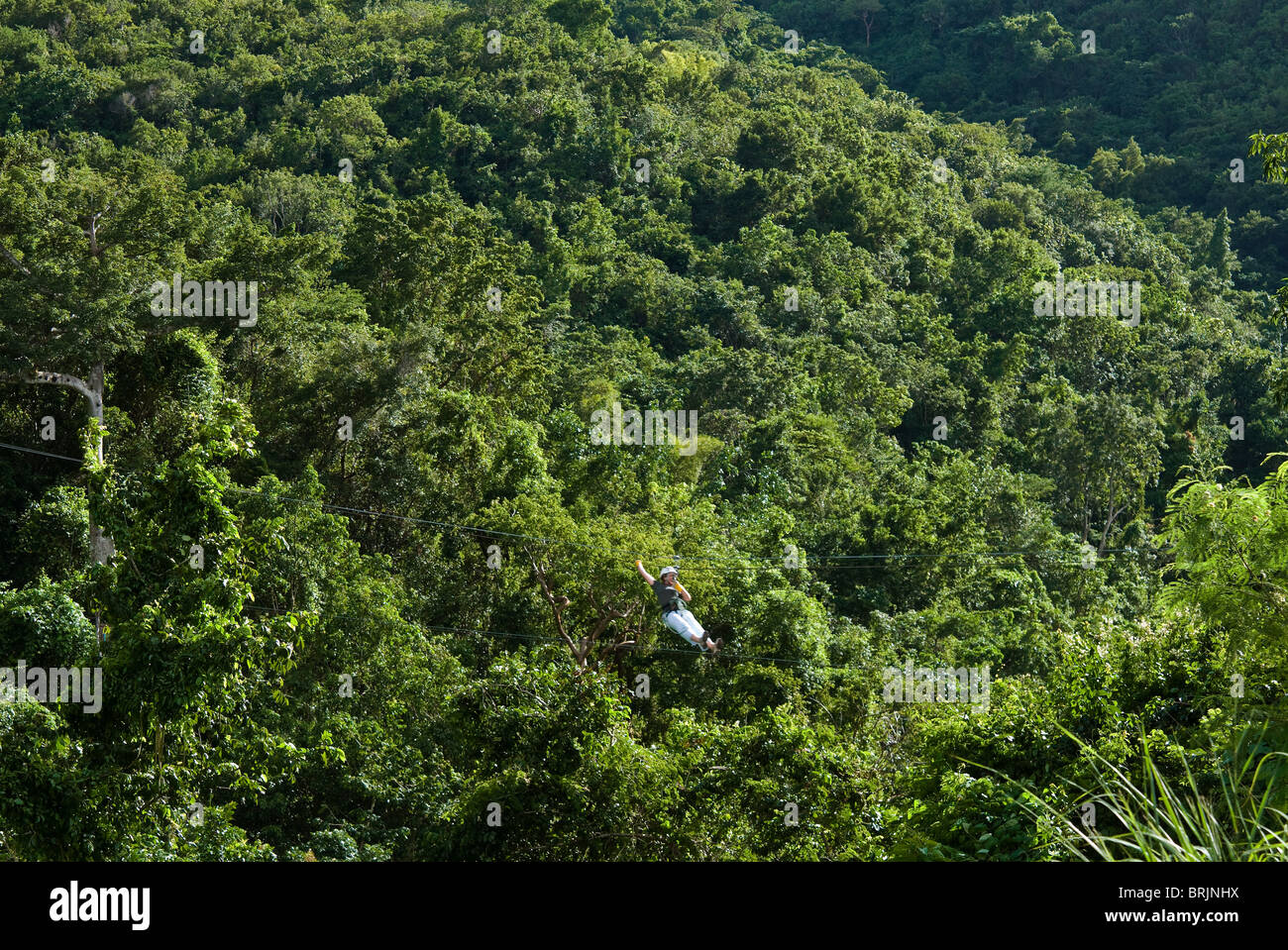 Indies green antigua hi-res stock photography and images - Alamy