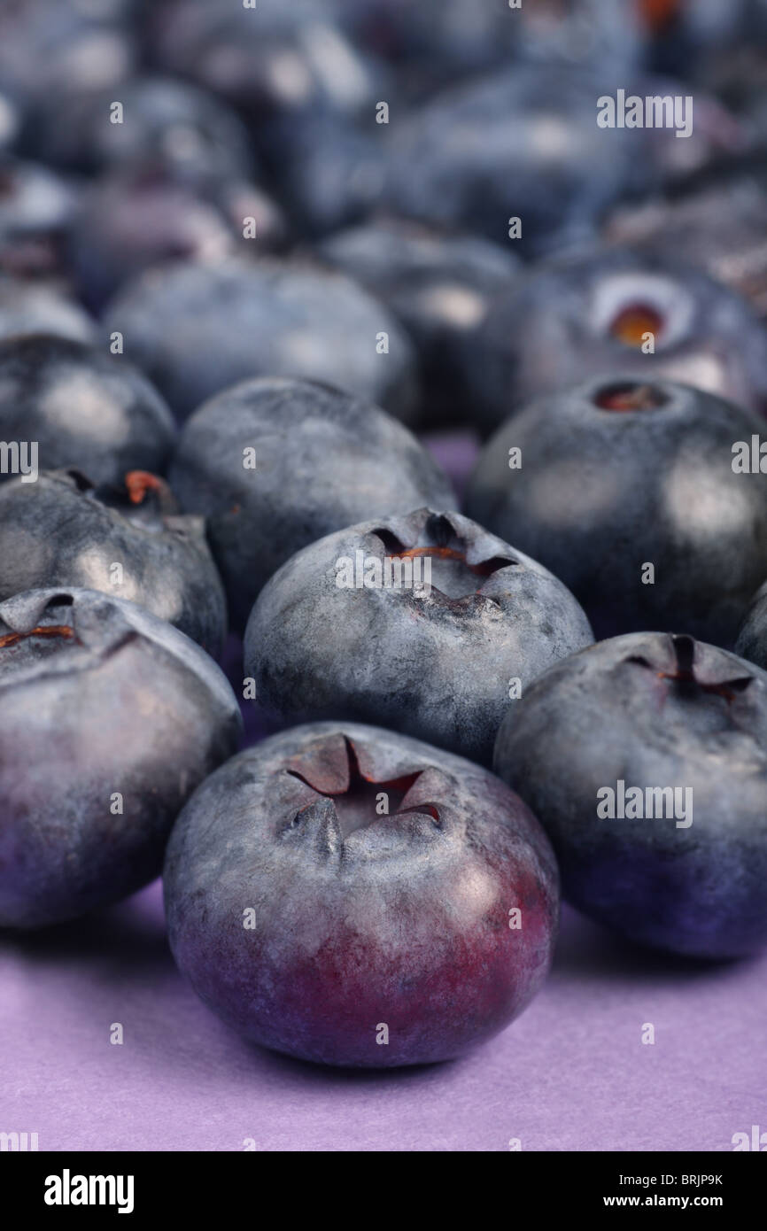 lots of plump ripe blueberries Stock Photo - Alamy