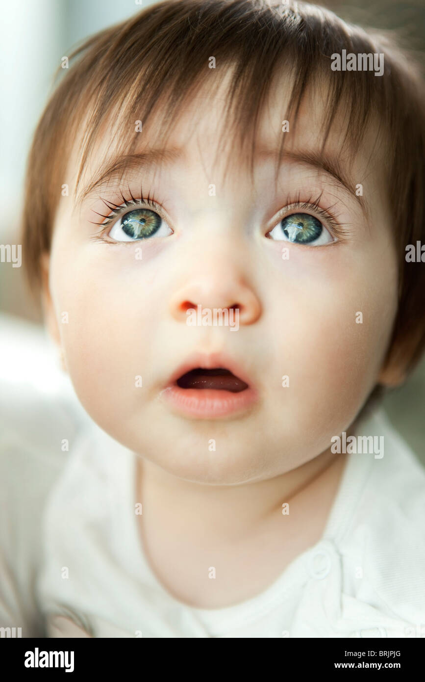 Infant looking up, portrait Stock Photo - Alamy