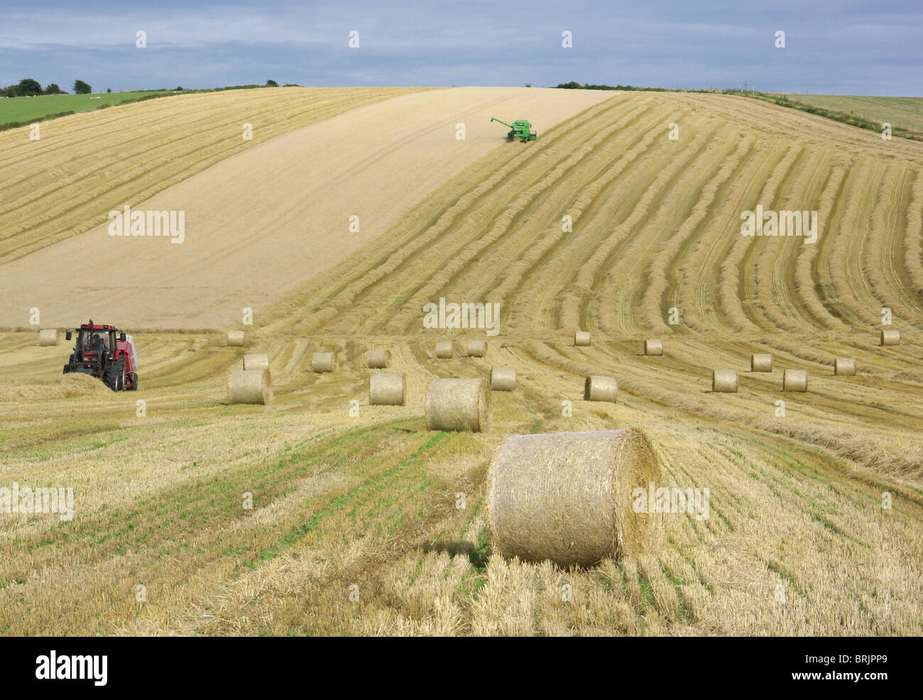 Harvesting hay field Stock Photo - Alamy