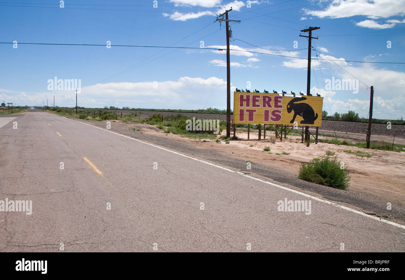 Arizona jackrabbit hi-res stock photography and images - Alamy