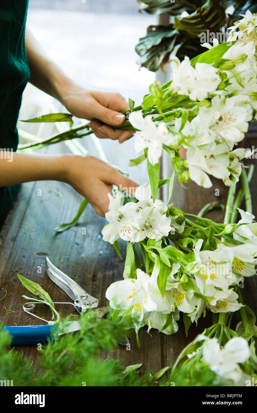 Arranging lilies hi-res stock photography and images - Alamy