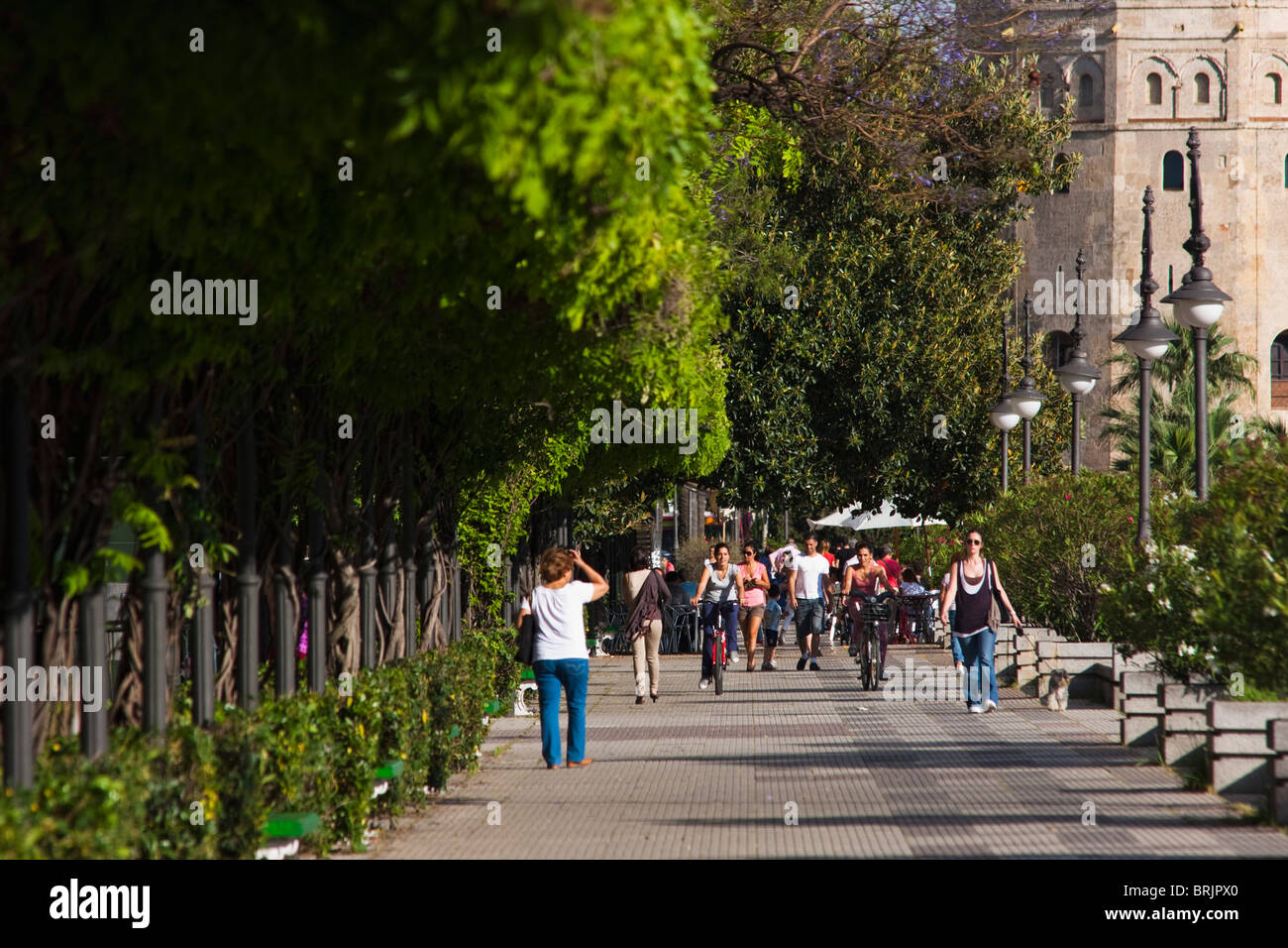 people on the promenade in sevilla, spain Stock Photo - Alamy