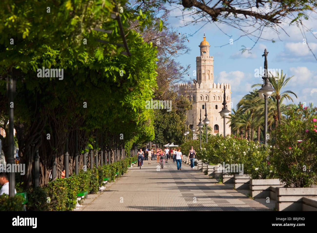 people on the promenade in sevilla, spain Stock Photo - Alamy