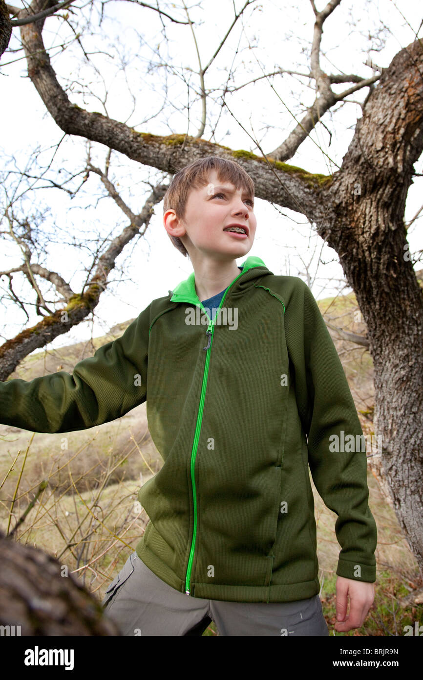 A young boy standing in a tree Stock Photo - Alamy