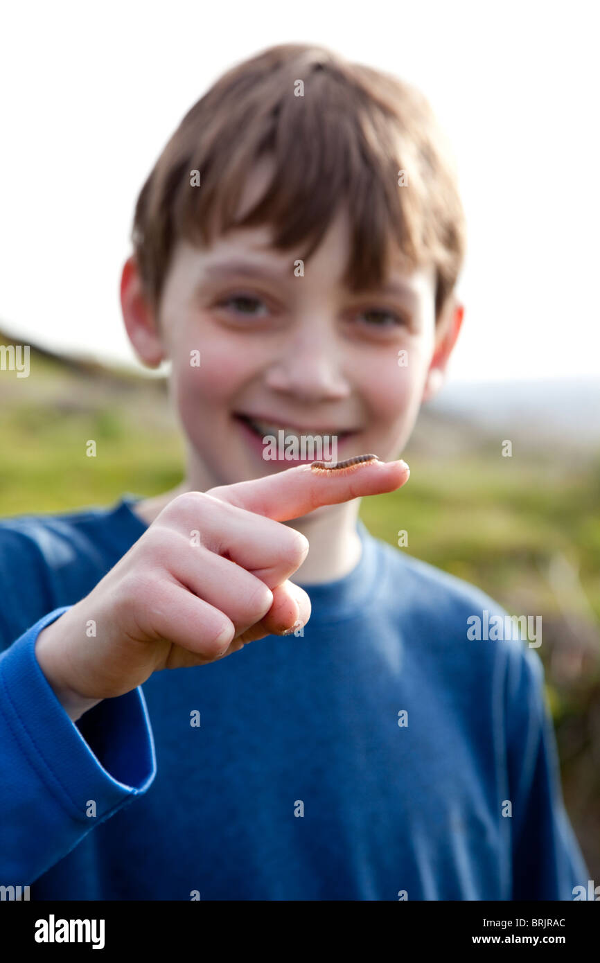 A young boy with a bug on his finger Stock Photo - Alamy