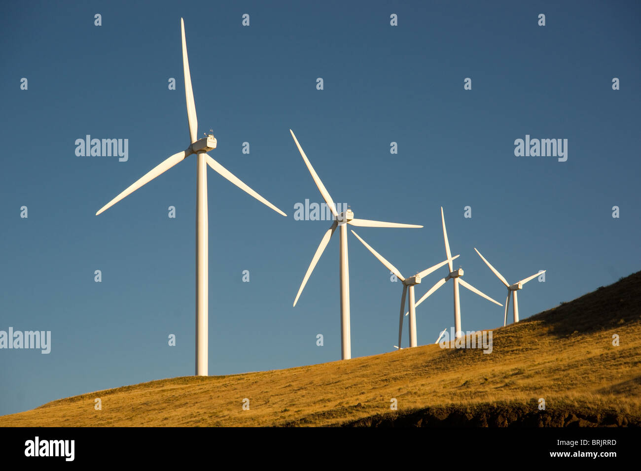 Alternative green energy rotary wind turbines on the hillside Stock ...