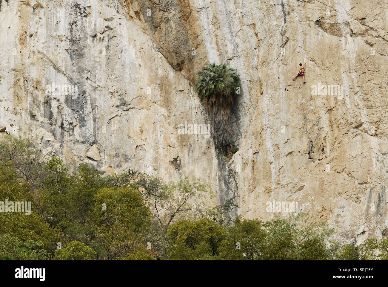A rock climber ascends a steep rock face in Mexico Stock Photo - Alamy