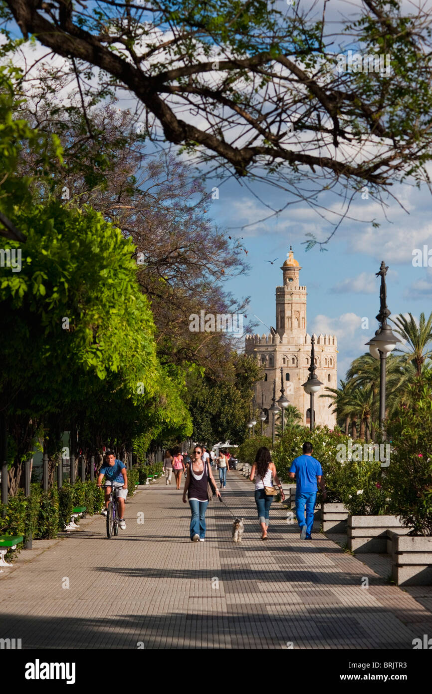 people on the promenade in sevilla, spain Stock Photo - Alamy