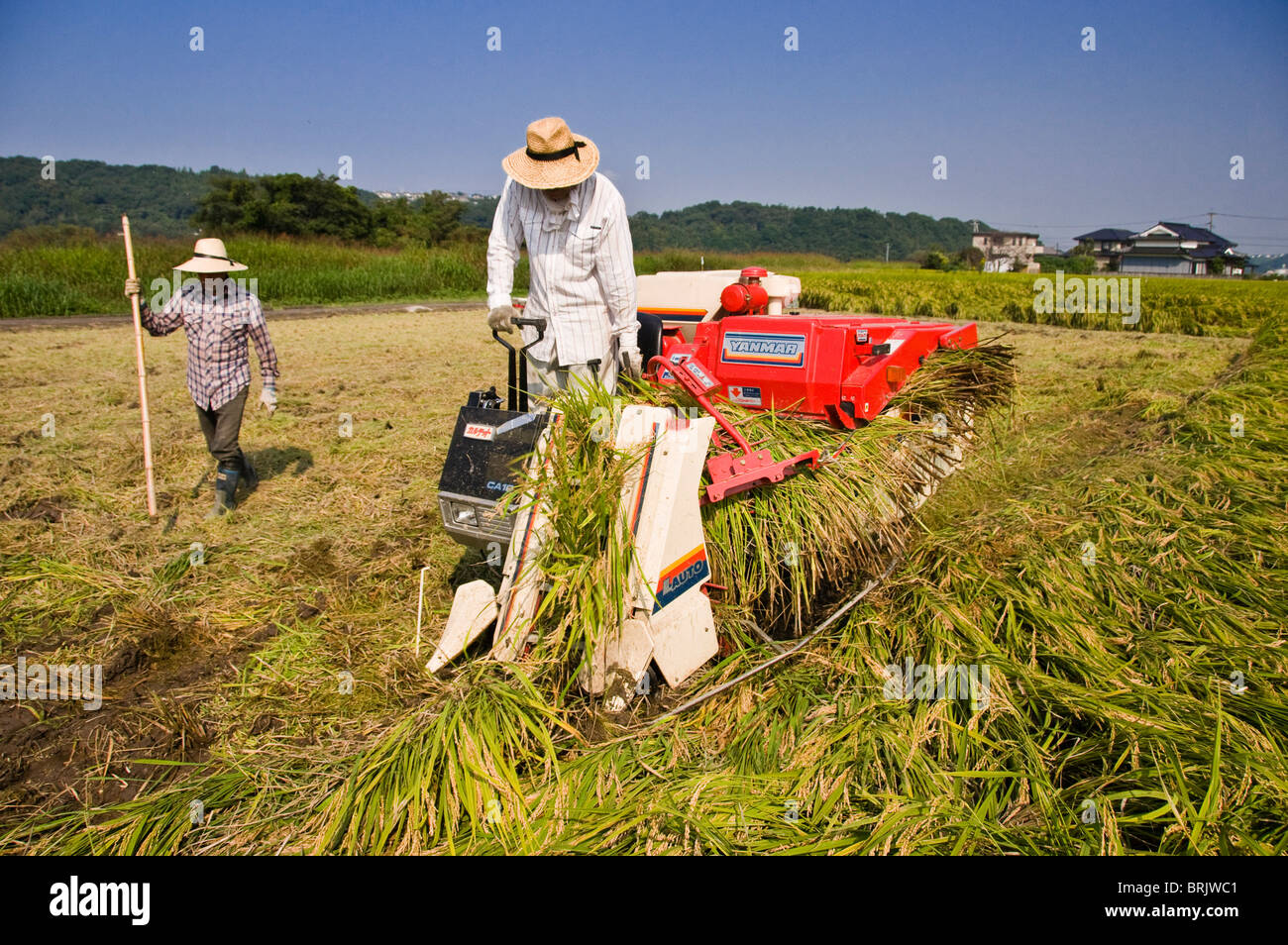 Harvesting rice by machine, near Oita city. Kyushu, Japan Stock Photo ...