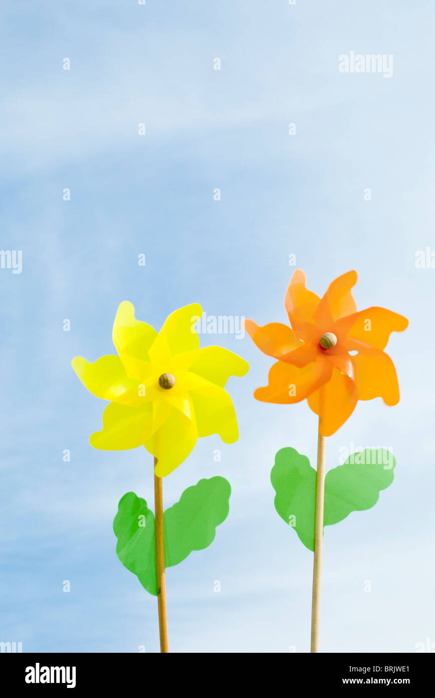 Pinwheel Like Flower High Resolution Stock Photography and Images - Alamy