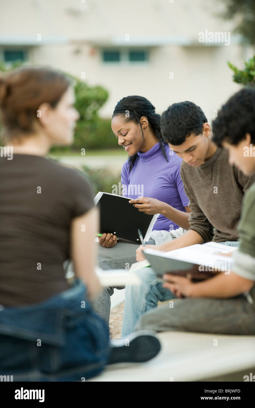 College students studying outdoors Stock Photo - Alamy