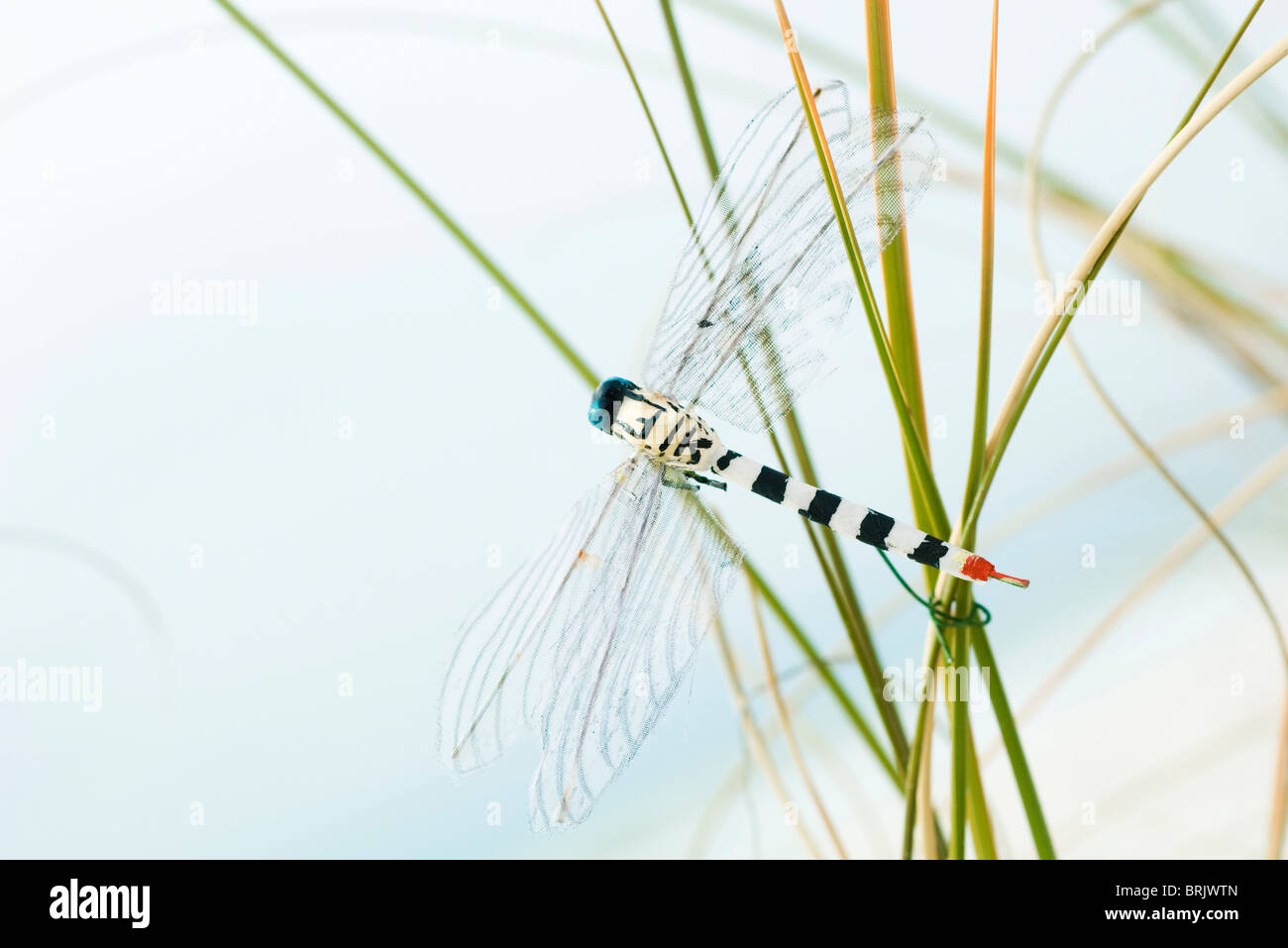 Artificial dragonfly on tall grass Stock Photo - Alamy
