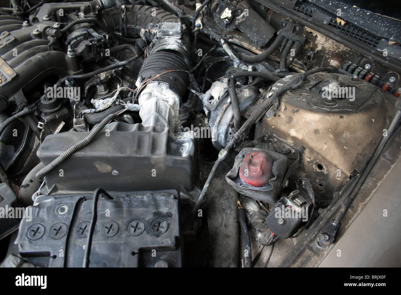 Injured car hi-res stock photography and images - Alamy