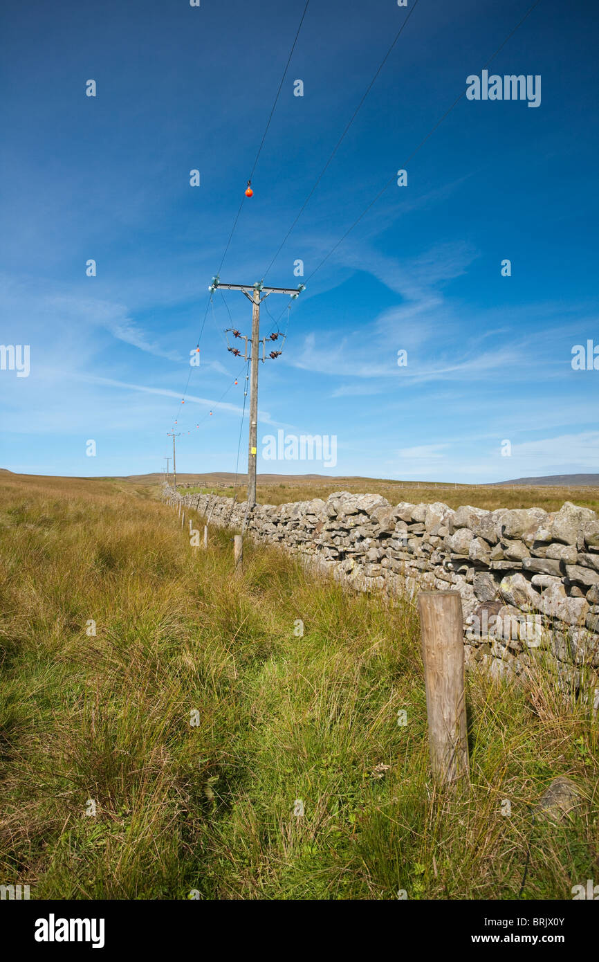 Telegraph Poles and Dry Stone Wall on Widdybank Pasture, Teesdale Stock ...