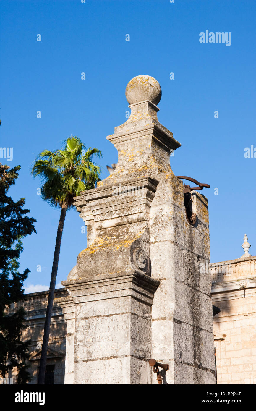 Seville old tree hi-res stock photography and images - Alamy