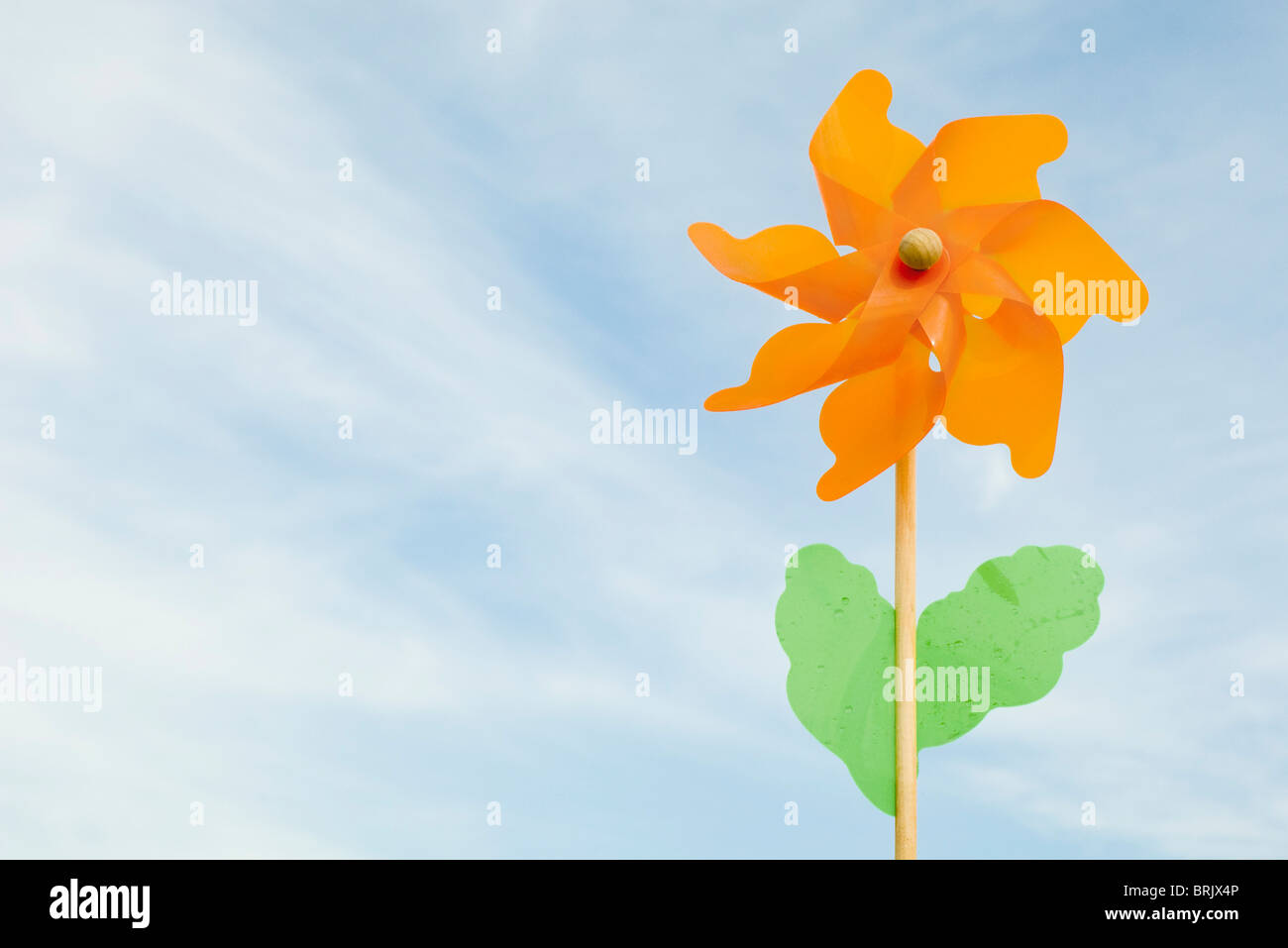 Pinwheel flower hi-res stock photography and images - Alamy