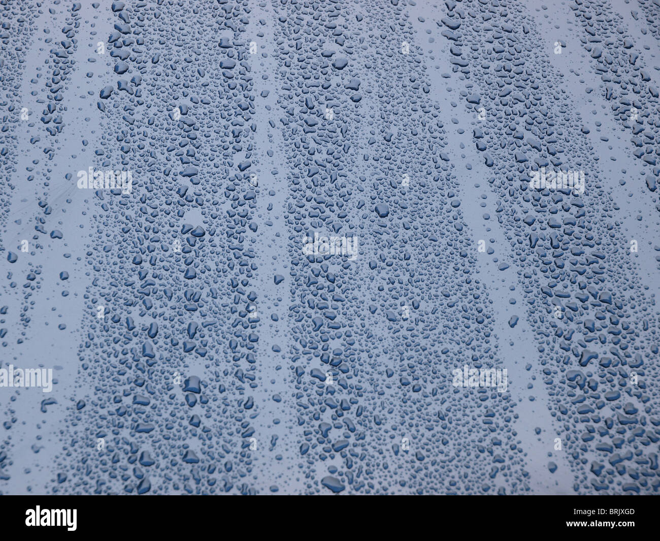 Rain Droplets in rows on blue surface Stock Photo - Alamy