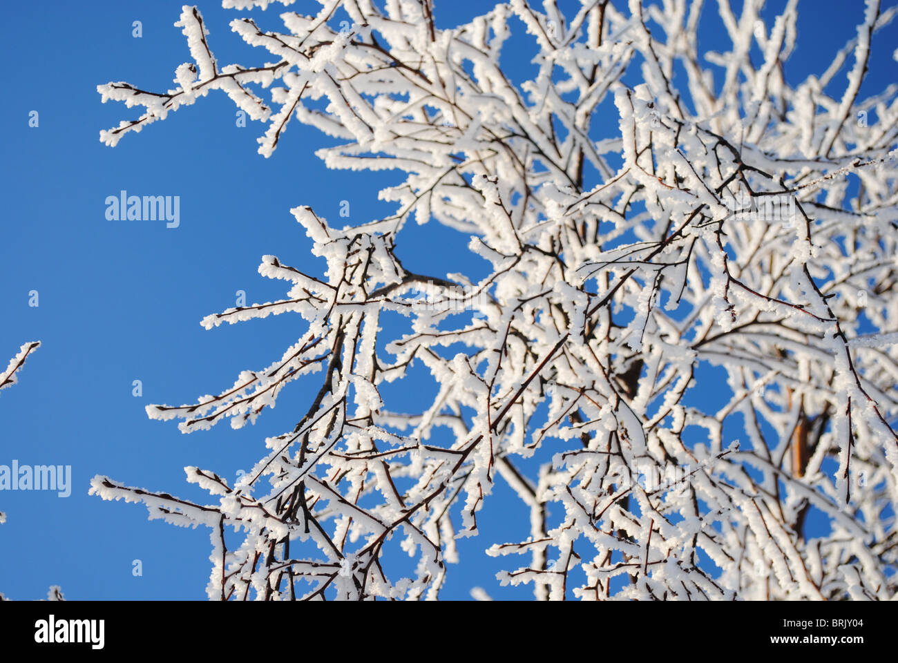 Crisp clear weather hi-res stock photography and images - Alamy