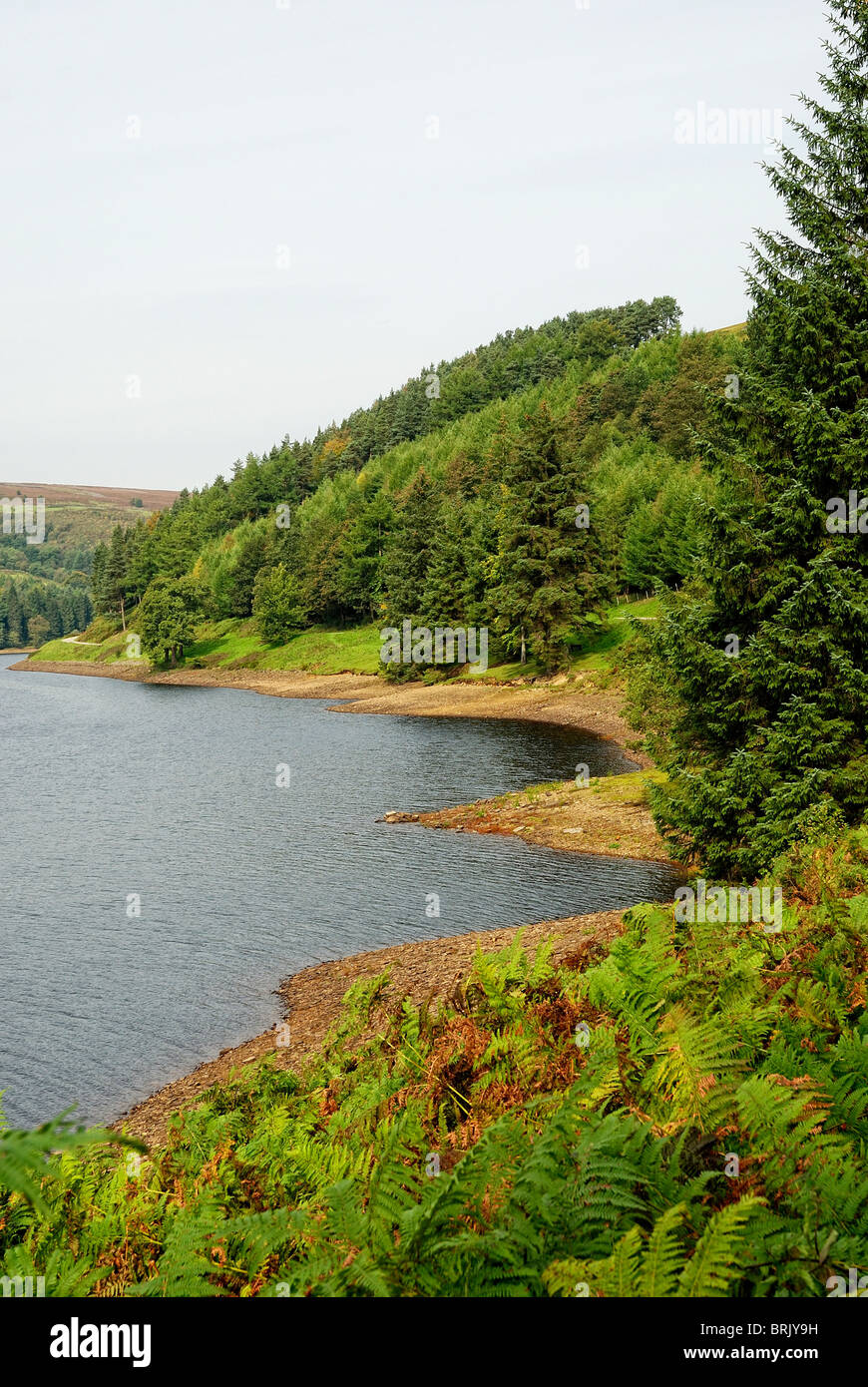derwent valley derbyshire england uk Stock Photo - Alamy