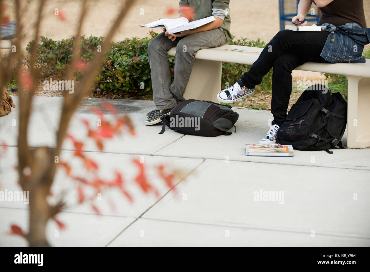 Students studying outdoors Stock Photo - Alamy