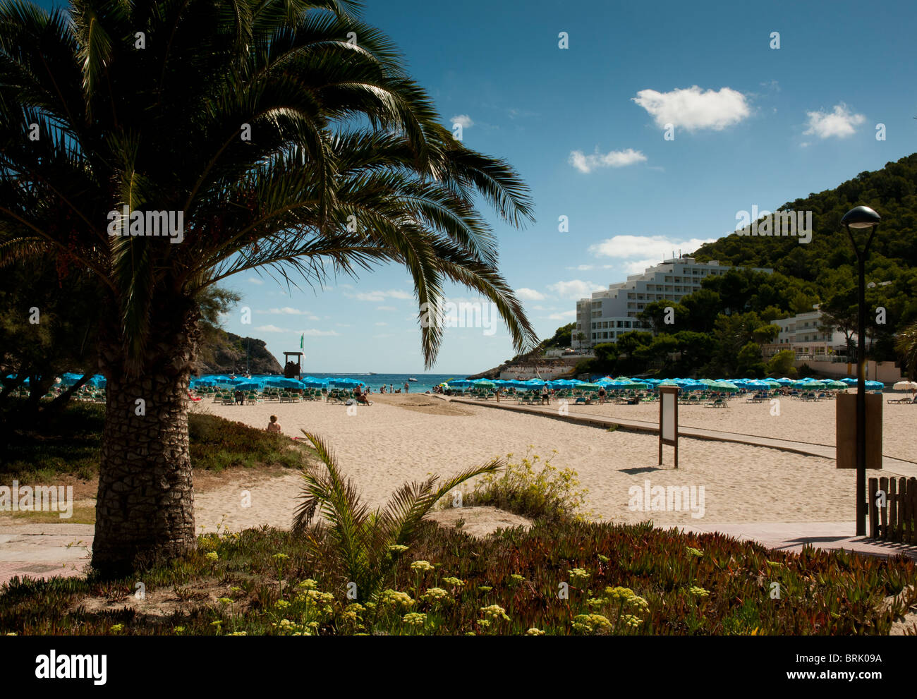Cala Llonga, Ibiza, Balearic Islands Spain Stock Photo - Alamy