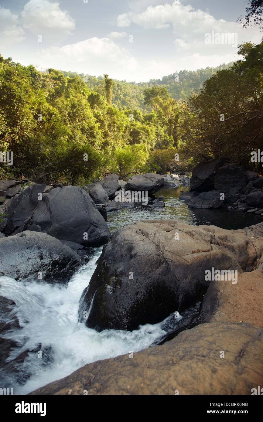 Indian jungle with shallow river between stones. Natural light and ...