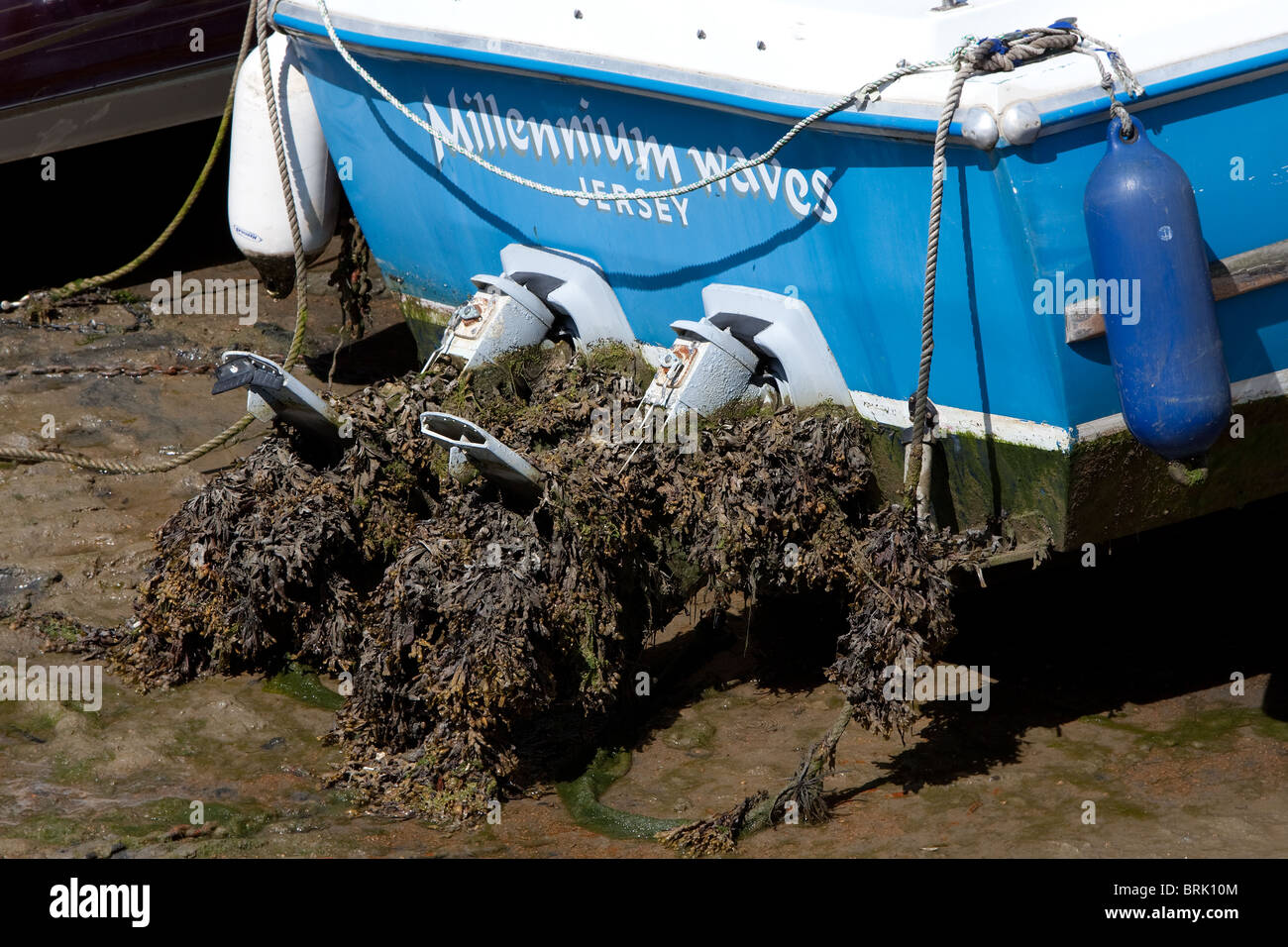 Rope tangled propeller hi-res stock photography and images - Alamy