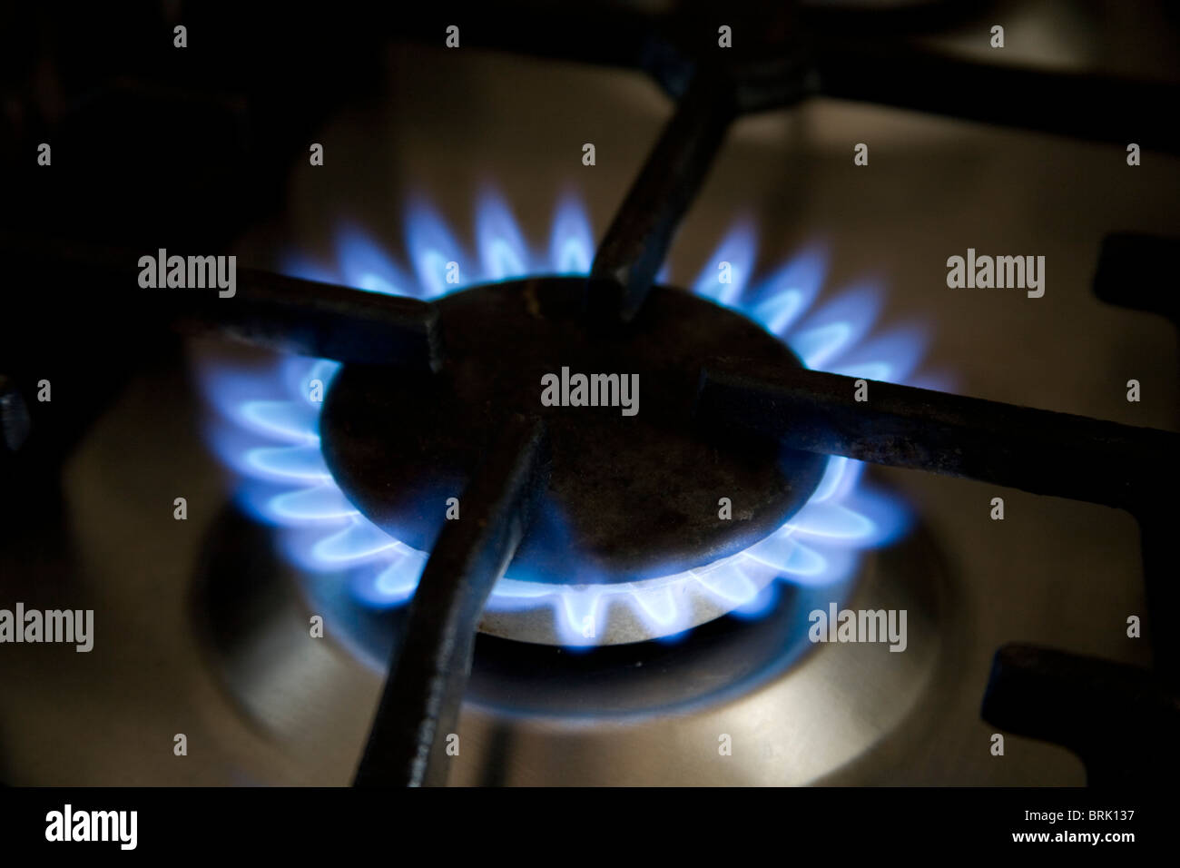 Types Of Electric Cooker Rings at Millie Fuentes blog