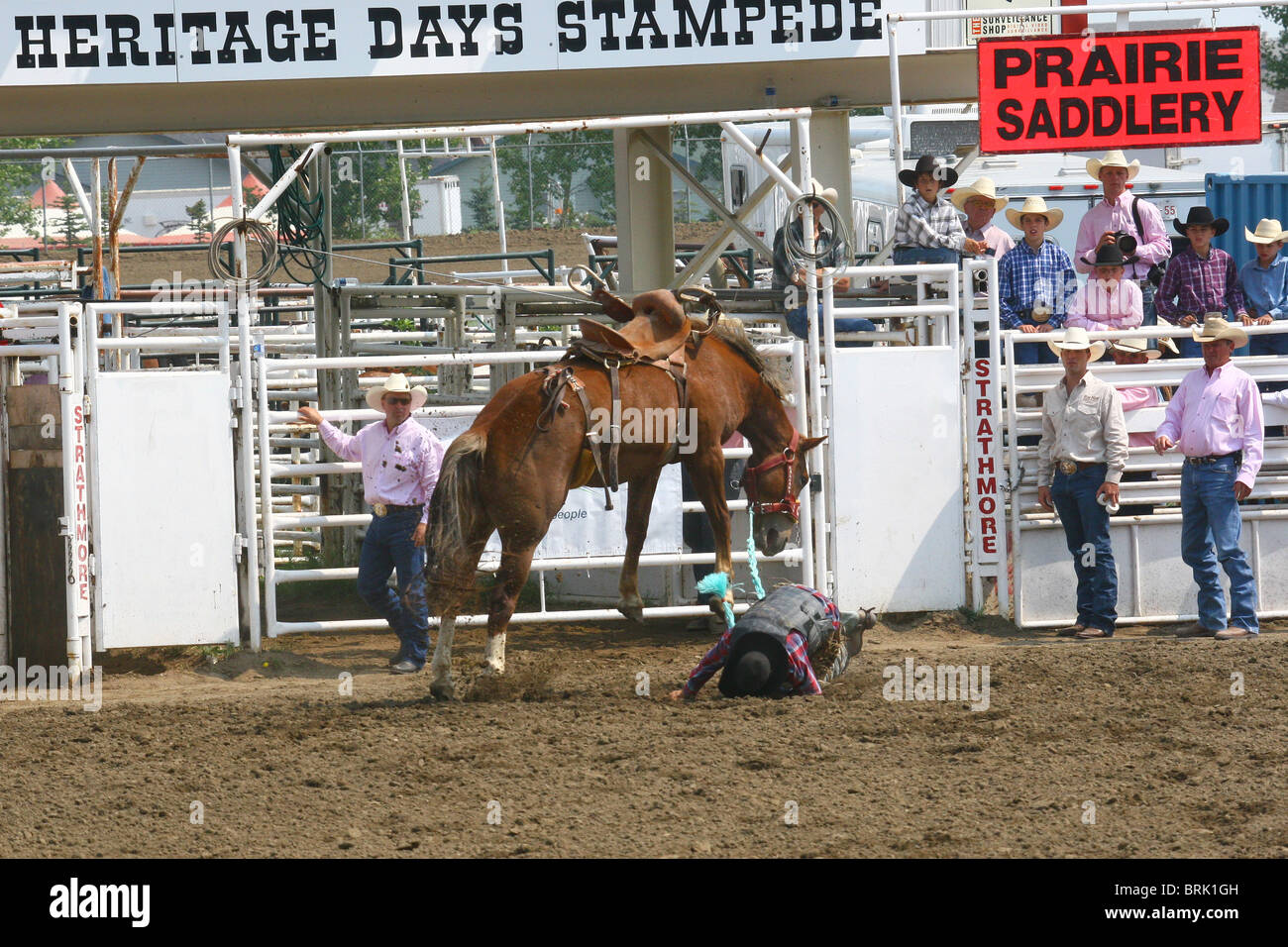 Rodeo , Alberta, Canada Stock Photo - Alamy
